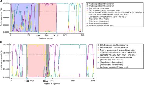 Bootscan Analysis By Rdp4 Software Package Of The Present
