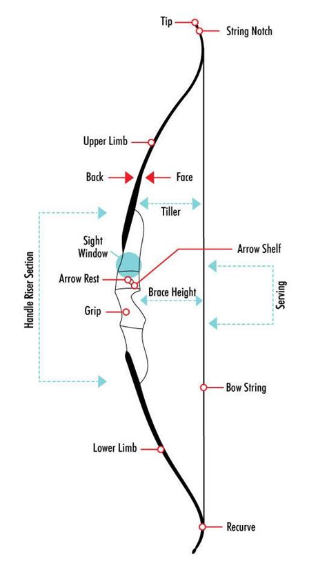 Recurve Bow Illustration Bow And Arrow Types Bow Anatomy Parts Of A Bow