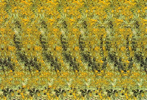 Solve Magic Eye Puzzle 2 Jigsaw Puzzle Online With 70 Pieces