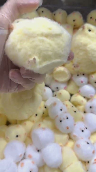玩具 小鷄捏捏樂，超真實的又很可愛 Youtube