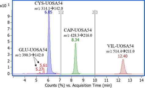 overlaid qqq ms mrm transition chromatograms of derivatized analytes