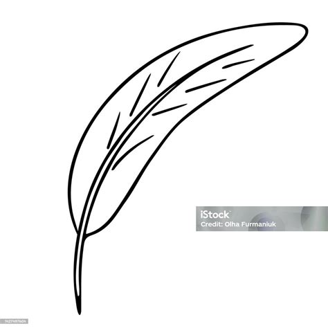 새 깃털 퀼 잉크 펜 쓰기 손으로 그린 윤곽선 낙서 스케치 프리핸드 미니멀리즘 스타일 라인 아트 격리 벡터 일러스트 레이 션 거위 새에 대한 스톡 벡터 아트 및 기타 이미지
