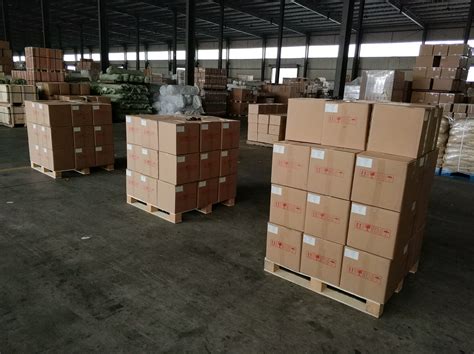 Dm 1100a Ink Roll Coder Heat Press Coding Machine For Batch And Date