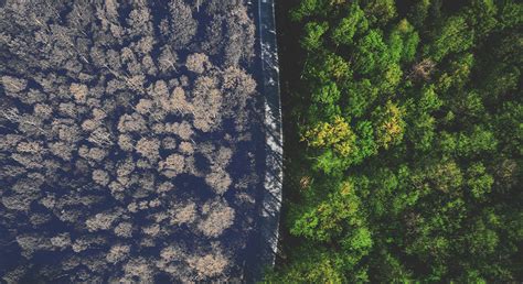 The 3ds Momentum Decarbonization Digitization And Decentralization