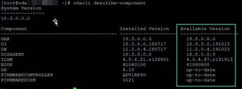 Step By Step Apply Patch Oda X7 2m From 18 3 To 18 8 Dbsguru
