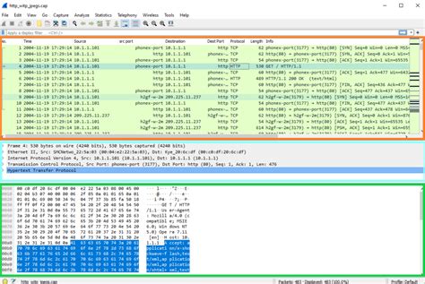 Analysis With Wireshark Netwerk Labs