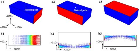Figure 1 From Two Fold Anisotropy Governs Morphological Evolution And