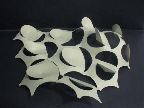 Research On Morphogenetic Architecture