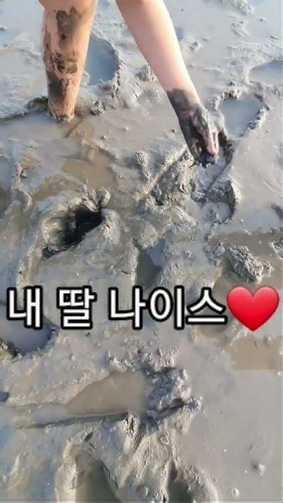 강화로 급 출발 조개를 잡으러 바다로 갈까나 Youtube