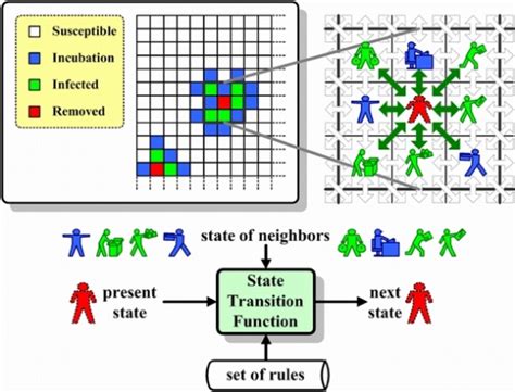 a model of cellular automata that demonstrates the interactions of
