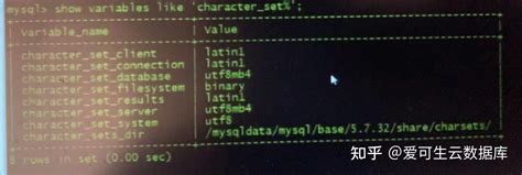 技术分享 为什么我的 MySQL 客户端字符集为 latin 知乎