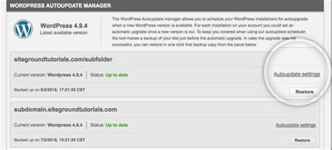 6 Best WordPress Auto Update Plugins Compared