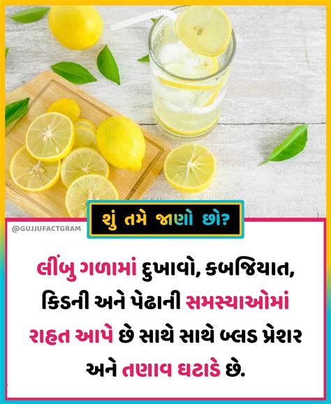 Gujrati Knowledge 💙 તમને પોસ્ટ ગમે તો શેર કરવાનું ના ભૂલતા દરરોજ અવનવું કરન્ટ અફેર્સ