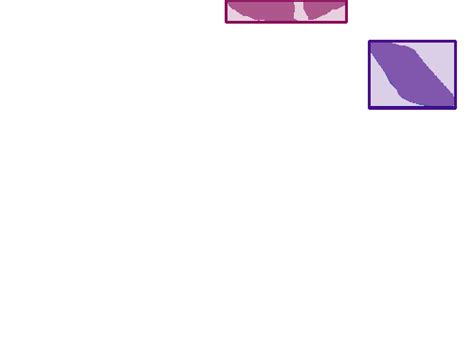 Paco Lvis Dataset Ninja