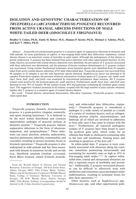 Pdf Islolation And Genotypic Characterization Of Trueperella Arcanobacterium Pyogenes