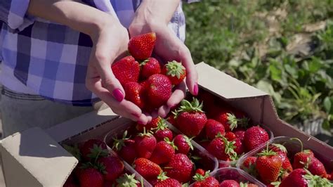 Inspirage On Linkedin Oraclecloud Oracleerp Oraclescm