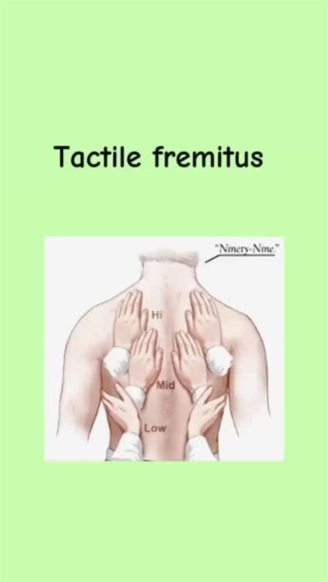 Fremitus Tactile Fremitus Tiktok