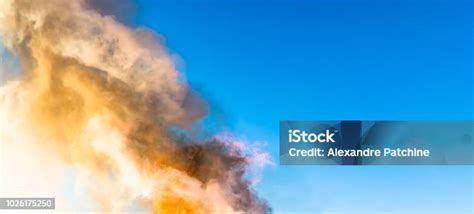 짙은 갈색 노란 연기 및 화재 굽기 소나무 박 달 나무 가문비나무 화산재와 다른 소방 제품 조각 큰 모닥불 푸른 하늘에 비행 스웨덴 숲에서 다른 나무의 가지에서의 사진