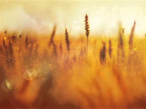 Worship Backgrounds 