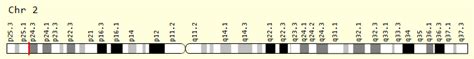 Greb1 Gene Genecards Greb1 Protein Greb1 Antibody