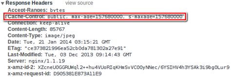 Amazon Web Services Cloud Front Backed With Nginx Which Proxies To