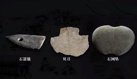 台灣大坌坑遺址深情環抱4800年的母子，見證兩岸剪不斷的紐帶 每日頭條