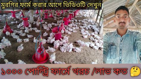 ১০০০ পোল্ট্রি ফার্মে খরচ লাভ কত মুরগির ফার্ম করার আগে ভিডিওটি দেখুন Poultry Farm Murgi Farm