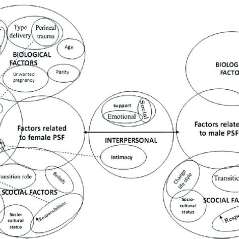 The Biopsychosocial Model Of Postpartum Couples Sexual Function