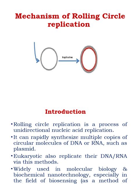 8 Rolling Circle Replication Pdf Dna Replication Dna
