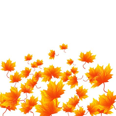 화려한 단풍 화려한 가을 단풍 가을 Png 일러스트 및 벡터 에 대한 무료 다운로드 Pngtree