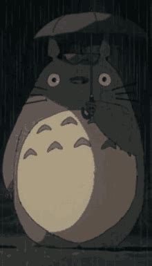 Totoro Anime Sticker Totoro Anime Divider Discover And Share S