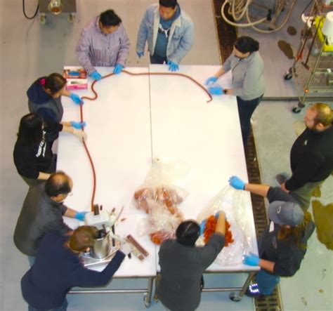 Alaska Sea Grant Ninth Biennial Alaska Seafood Processing Leadership