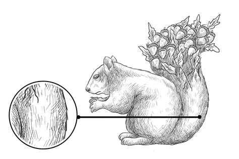 7 Pencil Shading Techniques Every Artist Must Know