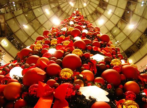 ΤΑ ΩΡΑΙΟΤΕΡΑ ΧΡΙΣΤΟΥΓΕΝΝΙΑΤΙΚΑ ΔΕΝΔΡΑ Photos Wallpapers ανανεωμένο The Fun Bank