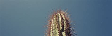 Postmen Postmen Team Says Hello To Their Valued Facebook Fans