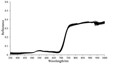 Improve The Prediction Accuracy Of Apple Tree Canopy Nitrogen Content Through Multiple