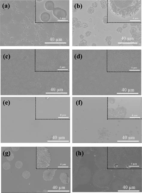 Sem Micrographs Of The Surface Morphology Of The Sr Implanted Sic Download Scientific Diagram
