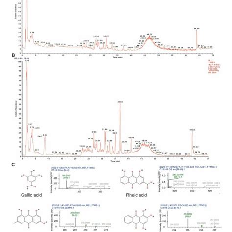 Chemical Components Identification Using Uplc Q Tof Ms Ms A B The