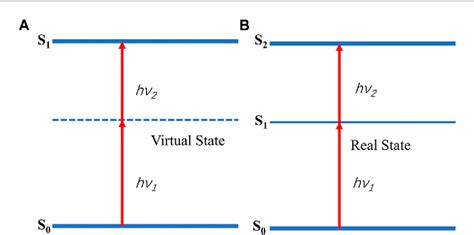 Figure 1 From Two Photon Polymerization For 3d Biomedical Scaffolds Overview And Updates
