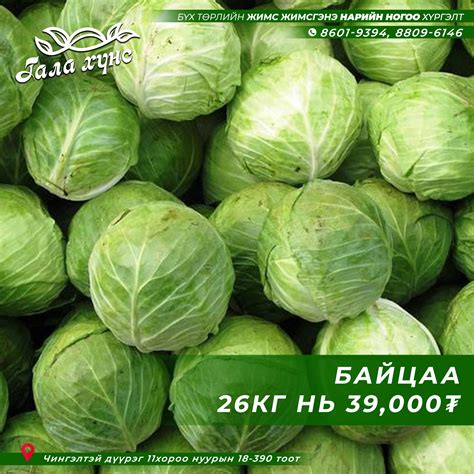 Гала жимс ХХК Жимс нарийн ногоо хүргэлт Гала хүнс ХХК