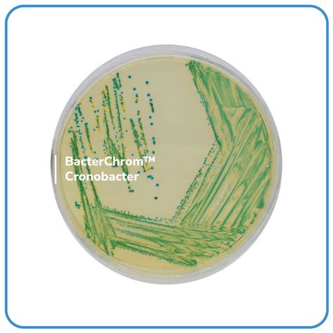 Bacterchrom™ Cronobacter Plates Bacterlab