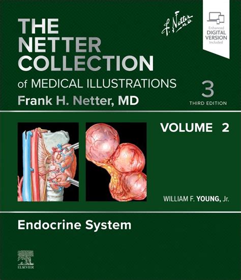 The Netter Collection Of Medical Illustrations Endocrine System