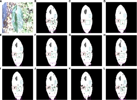 Frontiers Raawc Unet An Apple Leaf And Disease Segmentation Method Based On Residual