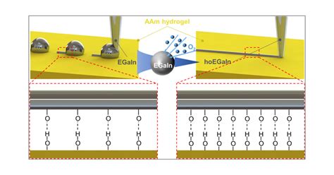Direct Ink Writing Of Liquid Metal On Hydrogel Through Oxides Introduction Langmuir