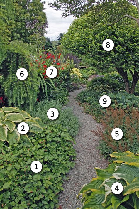 Цветни комбинации с листата на растенията Page 14 Форум