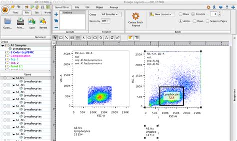 Graphical Reports In The Layout Editor FlowJo V10 0 7 Documentation
