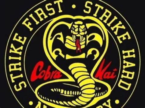 Quem Você Seria Em Cobra Kai Kaio Gabriel Quizur