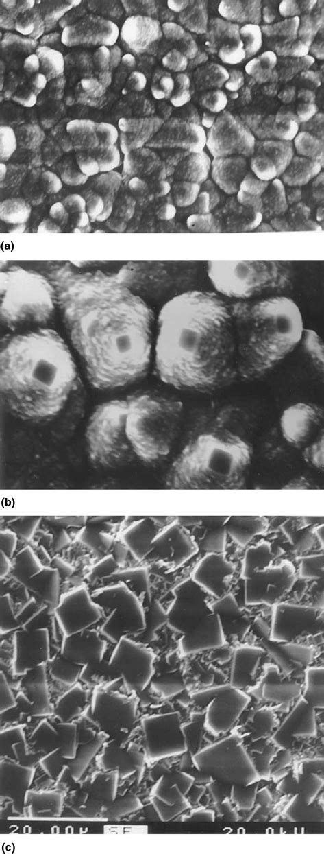 A The Atomic Force Micrograph Of 100 Oriented Diamond Grains In Download Scientific Diagram