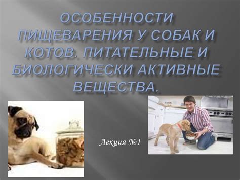 Особенности пищеварения у собак и котов. Питательные и биологически ...
