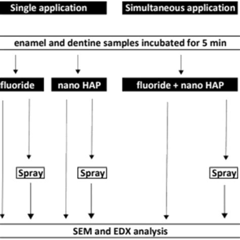 Flow Chart Of The Application Protocols Fluoride Sodium Fluoride
